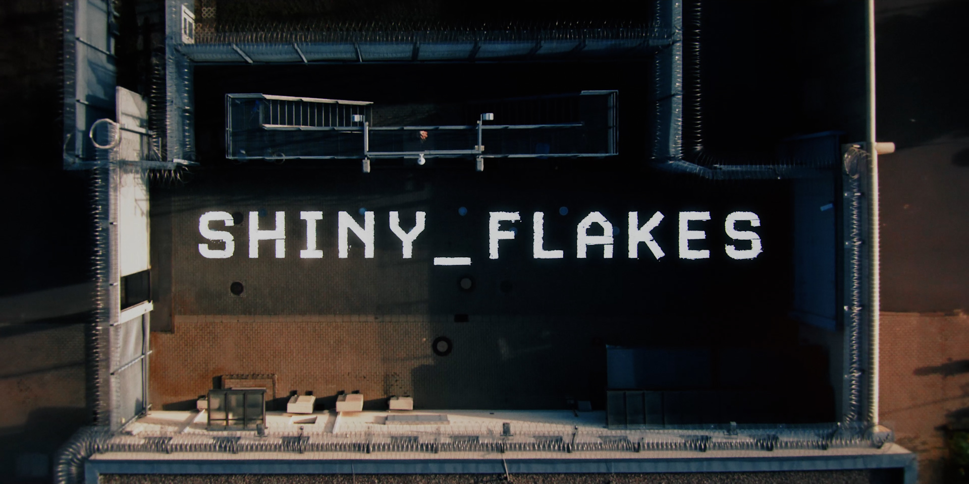 Shiny_Flakes: The Teenage Drug Lord • btf